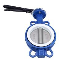 China ANSI CF8 EPDM PTFE Strong Acid Ductile Iron Lever Opreated Wafer Lug Butterfly Valve for sale