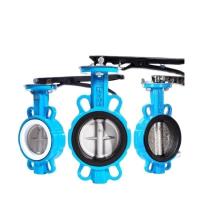 China Di/Nylon/1.4469/1.4529//2507/CF8/CF8m Disc Material Wafer Lug Butterfly Valve for sale