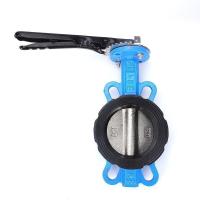 China Di/Nylon/1.4469/1.4529//2507/CF8/CF8m Disc Material Wafer Lug Butterfly Valve for sale