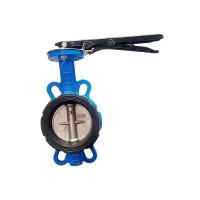 China Ductile Iron Body Concentric Design Wafer Butterfly Valve for Straight Flow Control for sale