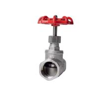 China Stainless Steel 304/316 Bsp Thread Globe Valve for Chemical and Petrochemical Industry for sale