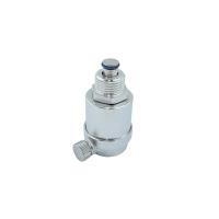 China Stainless Steel 304 NPT Bsp Thread Automatic Exhaust Valve with Thread Connection Form for sale
