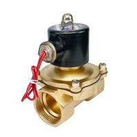China Electric Driving Mode Brass Plunger Solenoid Valve 1/2