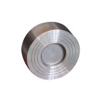 China Full Bore 201/304 Stainless Steel Pair Clip Lift Check Valve for Water Pump Hard Sealed for sale