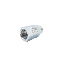 China Stainless Steel Female/Male Thread Check Valve for Household Water Media Distribution for sale