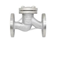 China Professional Manufacture DN100 Pn16 Lifting Check Valve with Stainless Steel Material for sale