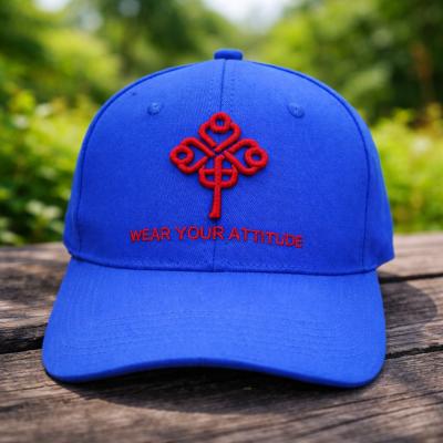 China Premium Custom Embroidered Baseball Cap (3D Logo Edition) for sale