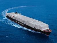 China Usa Portland Door To Door Amazon Freight Forwarder By Seafreight From Shenzhen for sale