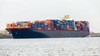China Reliable Sea Freight China Shipping Agent to Belgium Inquiry About Professional China Export/Import Customs Broker Agent for sale