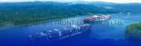 China DDU Delivery Sea Freight Shipping From Shenzhen To Usa Canada for sale