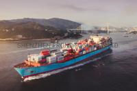 China DDU Ocean Freight Logistics Sea Freight Shipping Rates From China To USA for sale