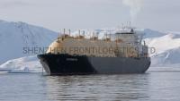China DDU Ocean Freight Logistics Sea Freight Shipping Rates From China To USA for sale