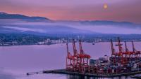 China Door To Door DDP Sea Freight Shipping Shenzhen To Davao Manila Philippines for sale