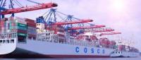 China Reliable Ocean Sea Shipping From China To France Paris Le Havre Marseilles for sale