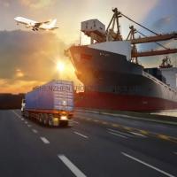China Seafreight Fba Amazon DDP Sea Shipping From Shenzhen Guangzhou to Singapore Brunai Philippines for sale