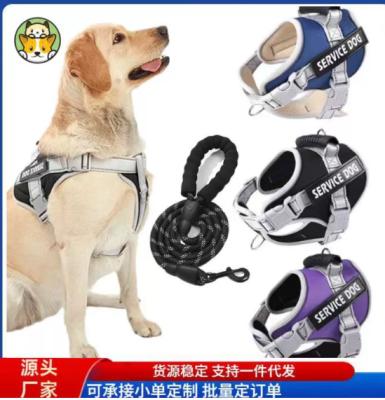 China Pet Exercise & Fitness Gear Category for sale