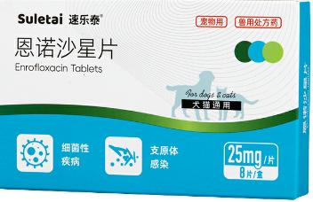 China Dogs Cats Enrofloxacin Chewable Tablets Pharmaceutical Grade For Respiratory for sale