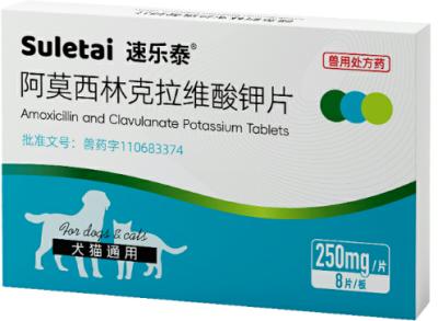 China 250mg 875mg Amoxicillin Potassium Clavulanate Amox Clav Tablet For 10kg-20kg Pets for sale
