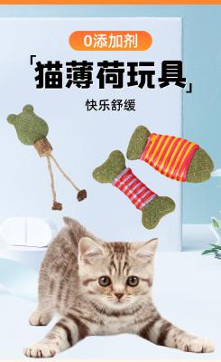 China New Custom Catnip Toy Set - Self-Entertainment & Teething Toys for Cats for sale