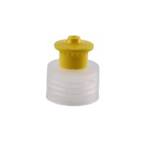 China Injection Mold Service Push Pull Cap Mold China Manufacture Hot for Household Packaging for sale