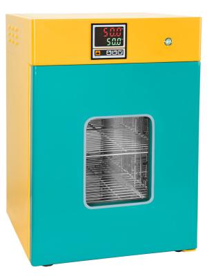 China DHP Series Electric Thermostatic Incubator 70 Degree 20L to 600L Lab Use for sale