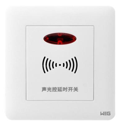 China W3SG 5V 2.1A Fussion series Wall Mounted Sound and Light Control Switch for sale