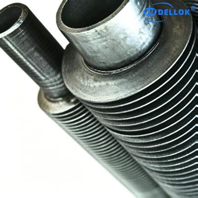 China DELLOK ASTM A53 A36 Schedule 10 Carbon Steel Pipe ERW 21.3mm to 219.1mm OD for sale
