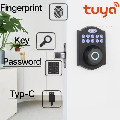 China Aluminum Alloy Residential Electronic Lock Fingerprint Smart Lock Tuya App for sale