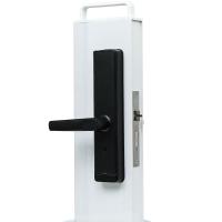 China Tuya WiFi Smart Biometric Fingerprint Door Lock For Home 2 Years Warranty for sale