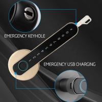 China Multifunctional Wifi Smart Door Lock / Keypad Electronic Door Lock With Key for sale