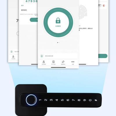 China Security Smart Door Lock System / Residential Fingerprint Door Locks for sale