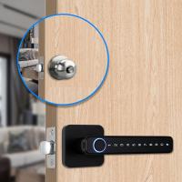 China Security Smart Door Lock System / Residential Fingerprint Door Locks for sale