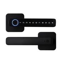 China Security Smart Door Lock System / Residential Fingerprint Door Locks for sale