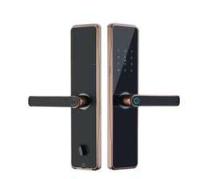 China Security Fingerprint Door Lock Black App Controlled Door Lock Smart for sale