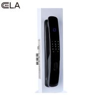 China Household Tuya Wifi Smart Door Lock With Face Recognition for sale