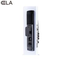 China Household Tuya Wifi Smart Door Lock With Face Recognition for sale