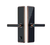 China OEM ODM Black RFID Smart Door Lock With Fingerprint And Password for sale