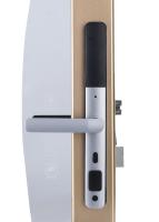 China Home Sliding Smart Door Lock Electronic Fingerprint Door Lock for sale