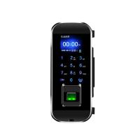 China Biometric keyless entry door lock fingerprint Door Lock For Glass Door for sale