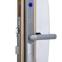 China Hotel Tuya APP Smart Lock Digital Fingerprint Door Lock For Silding Door for sale