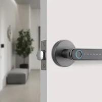 China Bluetooth / Tuya APP Smart Door Knob Fingerprint Zinc Alloy Material for sale