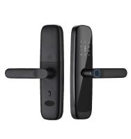 China Fingerprint Biometric Door Lock Smart Aluminum Alloy Material for sale