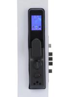 China Home Face Recognition Door Lock System With Aluminum Alloy Panel / Handle for sale