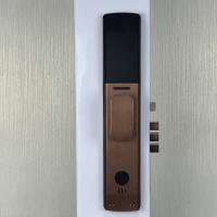 China Black Face Recognition Door Lock Smart Eye Recognition Door Lock for sale