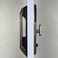 China Black Face Recognition Door Lock Smart Eye Recognition Door Lock for sale