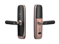 China Fingerprint Biometric Door Lock Smart Aluminum Alloy Material for sale