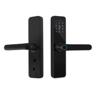 China Semi Automatic Smart Door Lock Fingerprint Aluminum Alloy Material for sale