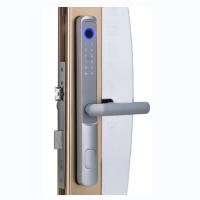 China Home Electronic Fingerprint Sliding Door Safety Lock 2 Years Warranty for sale