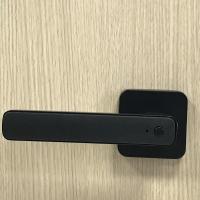 China Black Fingerprint Keypad Door Lock Zinc Alloy For Office / Room for sale