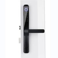 China Multifunctional Glass Door Smart Lock Tuya TTlock Digital Door Lock for sale